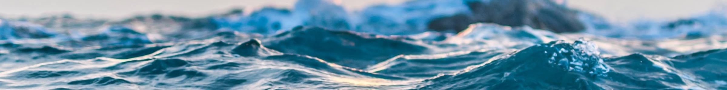 2025 SEG China Meeting