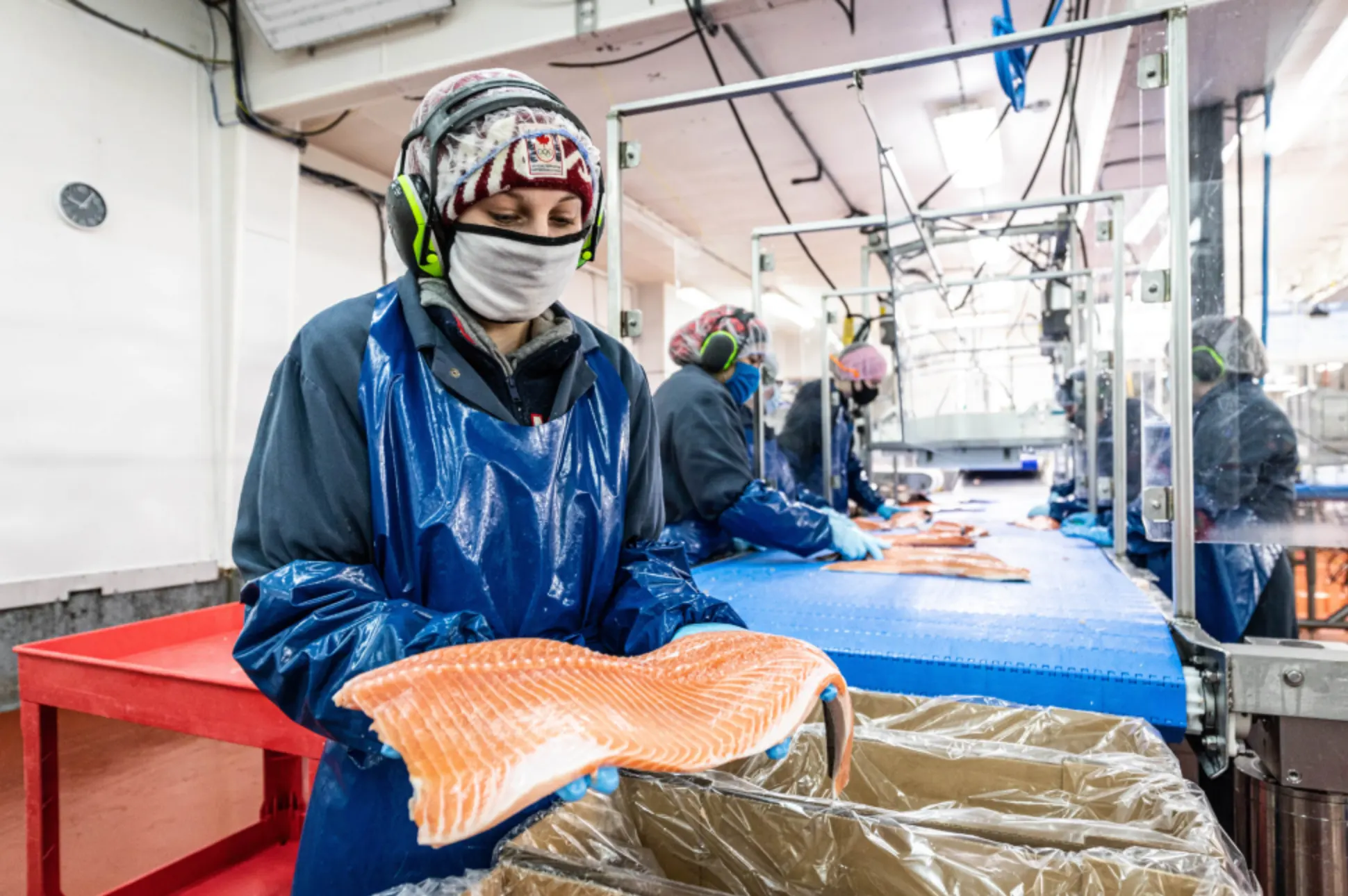 Seafood Processing with Standards